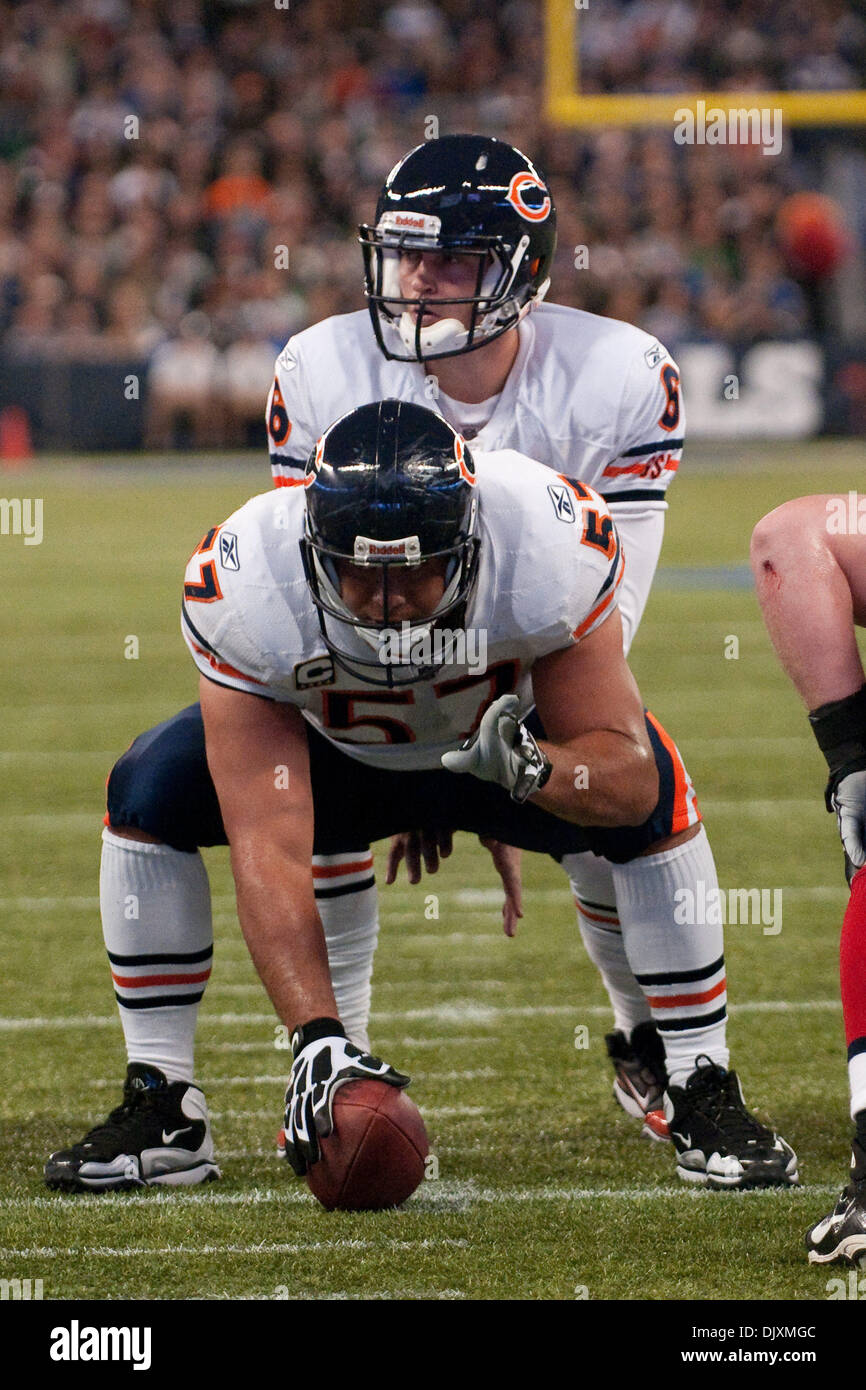 Chicago bears hi-res stock photography and images - Alamy