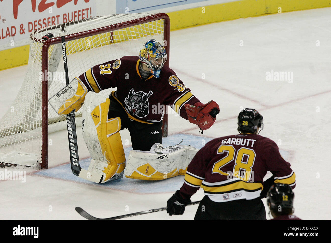 Chicago wolves hi-res stock photography and images - Alamy