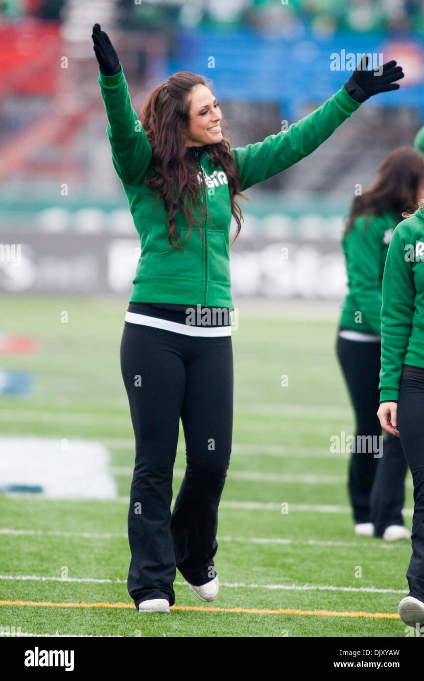 Cfl cheerleaders hi-res stock photography and images - Alamy