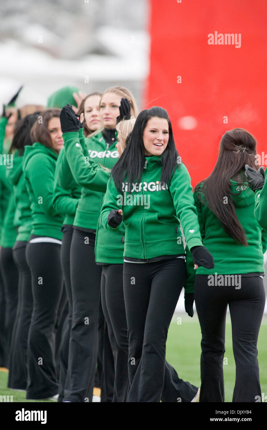 Cfl Cheerleaders High Resolution Stock Photography and Images - Alamy