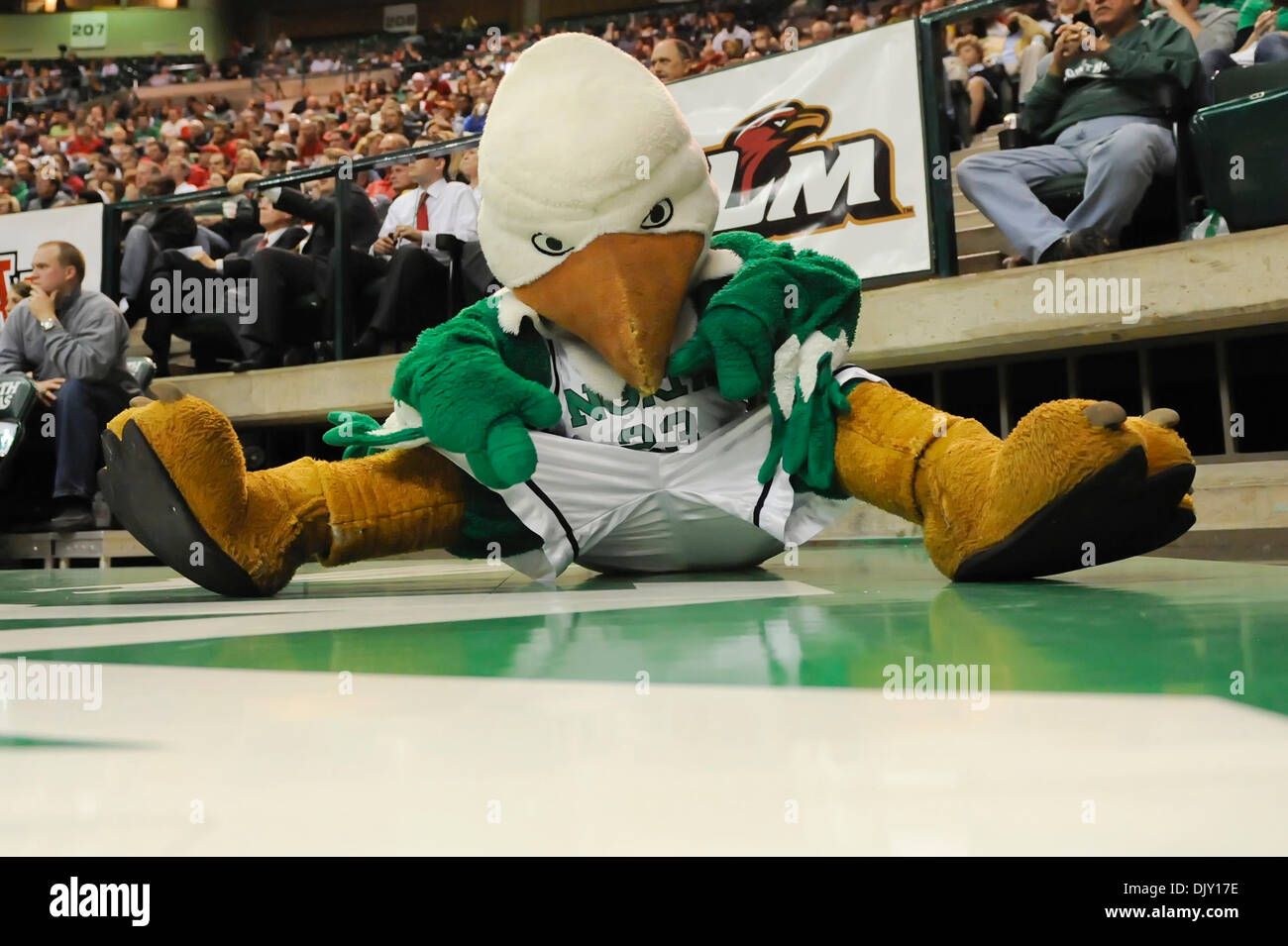 Nov. 16, 2010 - Denton, Texas, United States of America - UNT mascot ...