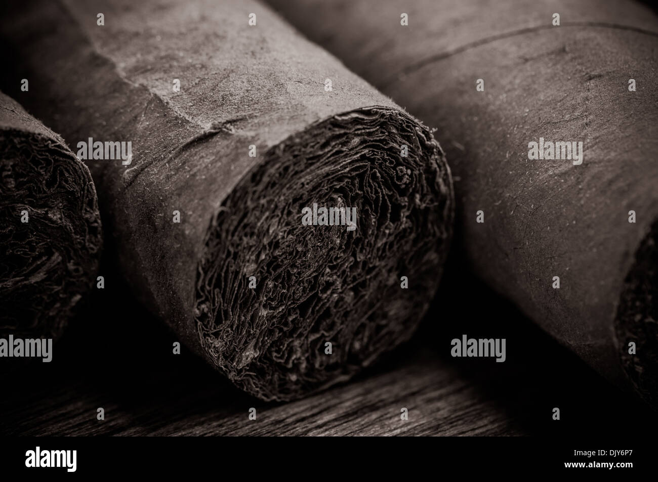 Havana cigar texture hi-res stock photography and images - Alamy