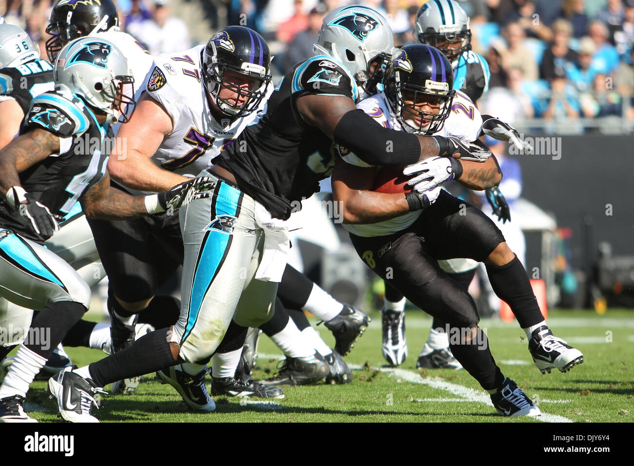 Csm rice hi-res stock photography and images - Alamy