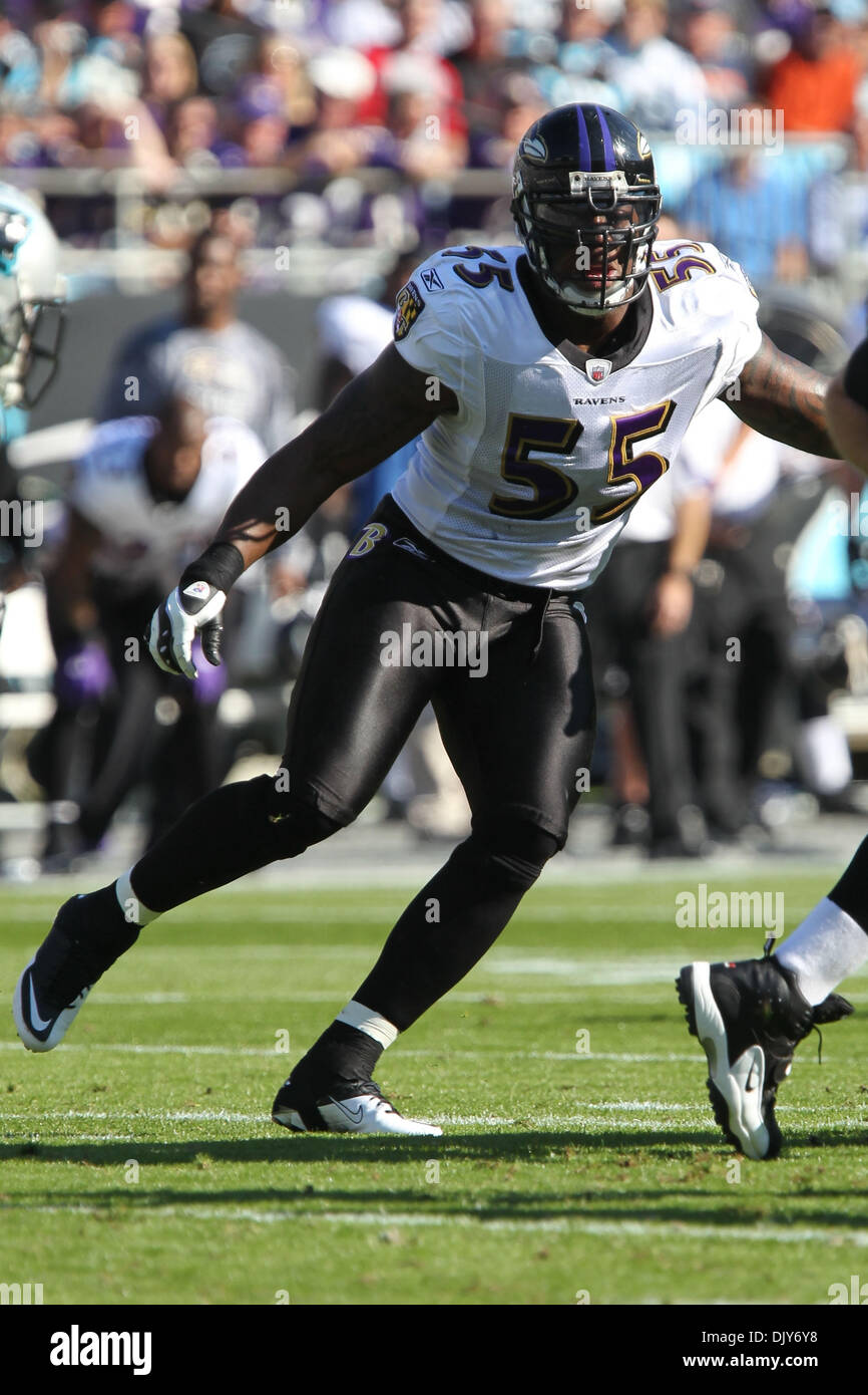 November 21, 2010; Baltimore Ravens linebacker Terrell Suggs (55) eyes ...