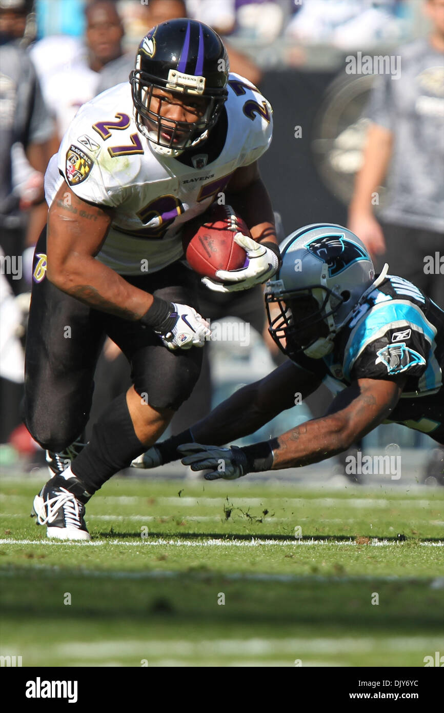 Csm rice hi-res stock photography and images - Alamy