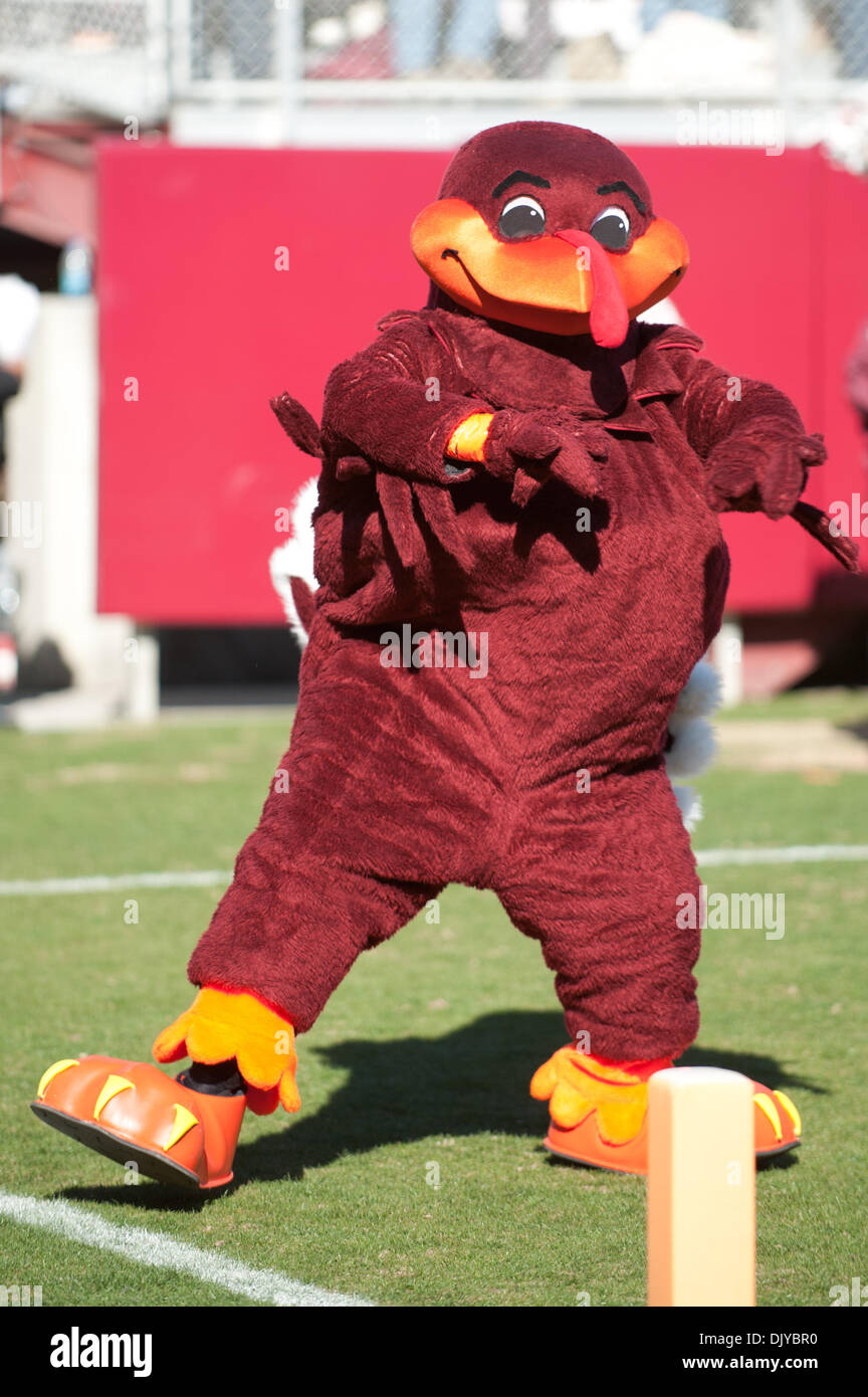 University of virginia mascot hi-res stock photography and images - Alamy