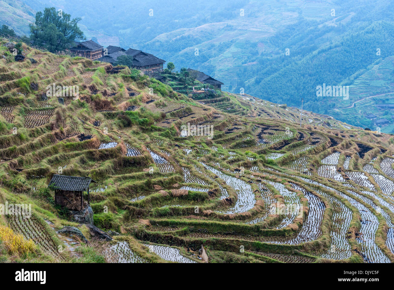 Village rice hi-res stock photography and images - Alamy