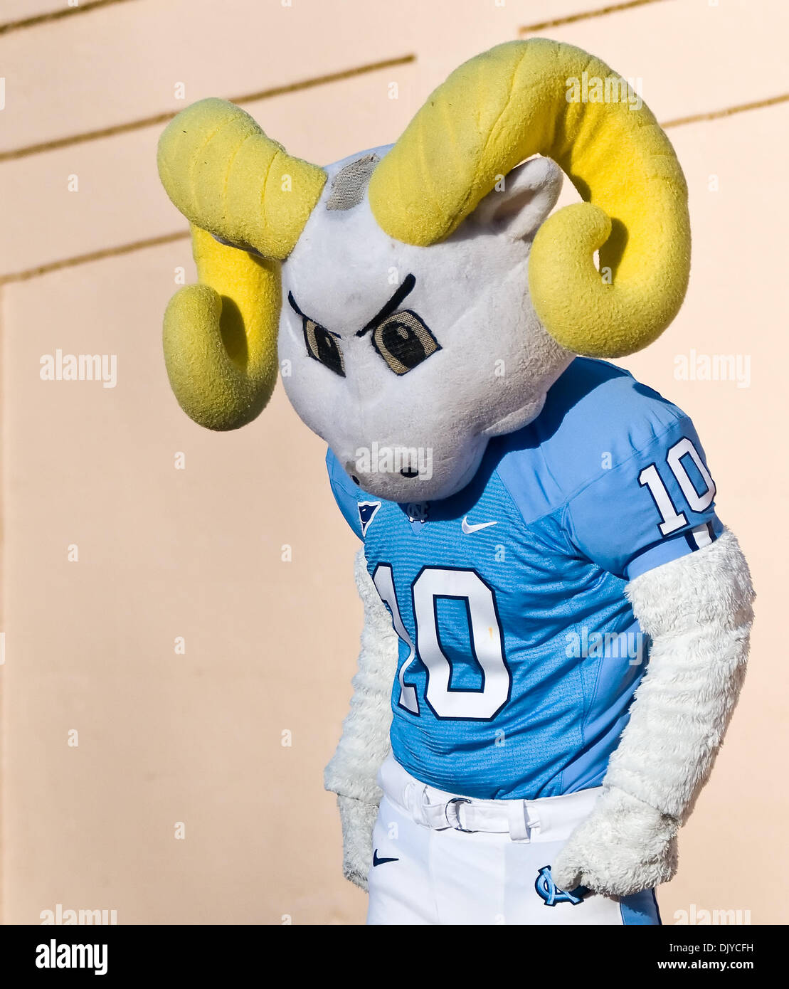 Nov. 27, 2010 - Durham, North Carolina, United States of America - The ...