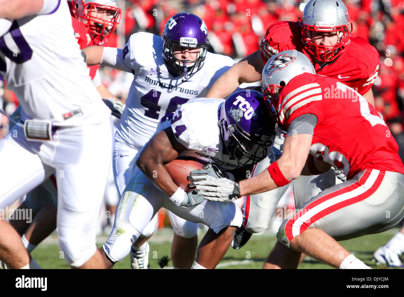 Texas christian horned frogs hi-res stock photography and images - Alamy