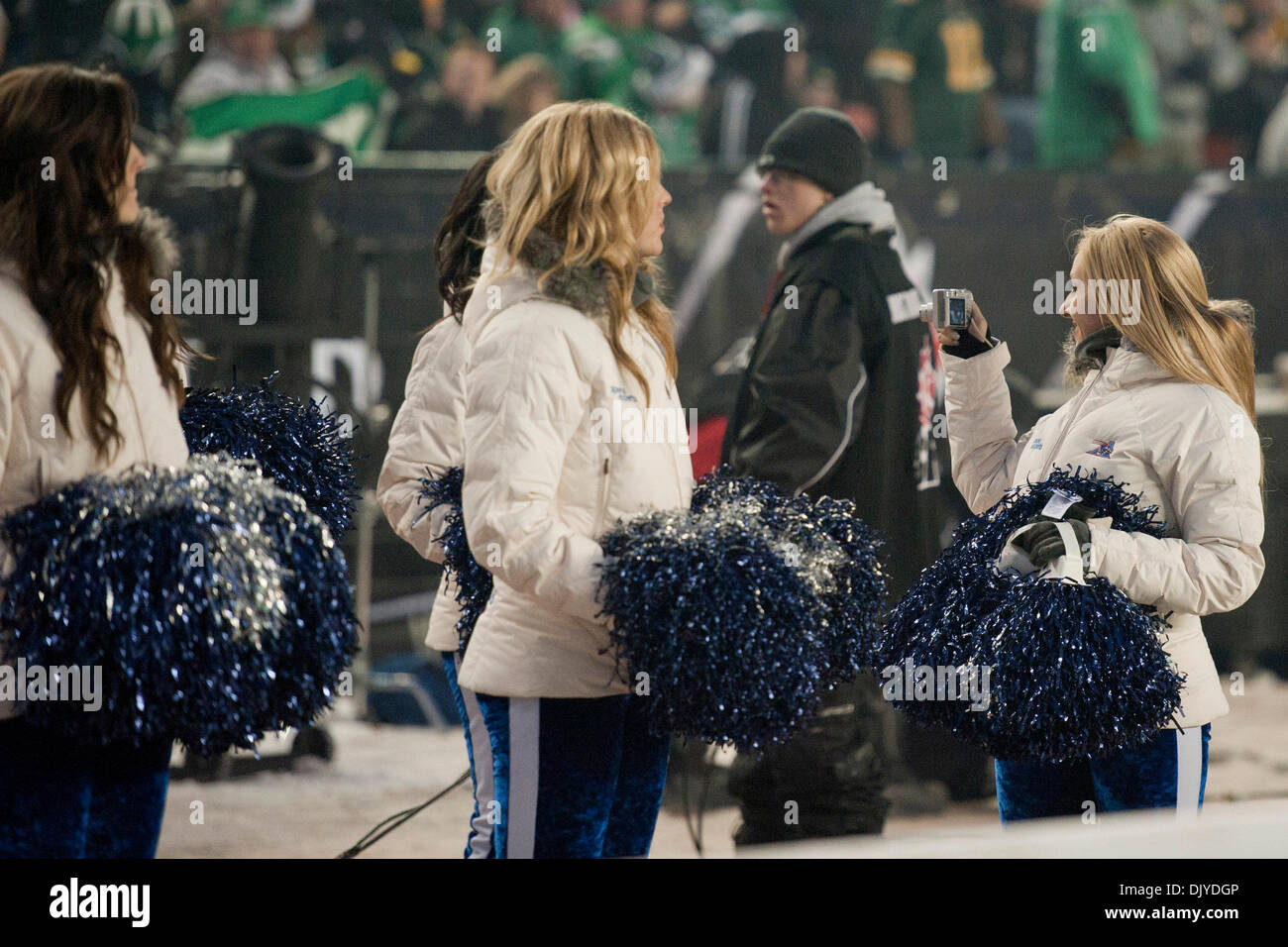 Cfl cheerleaders hi-res stock photography and images - Alamy
