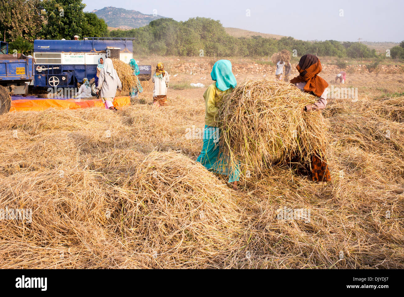 Harvest crop machine farming hi-res stock photography and images - Alamy