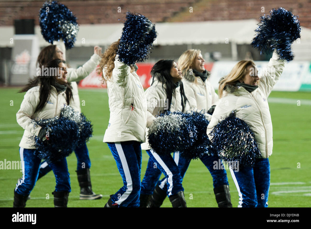 Cfl cheerleaders hi-res stock photography and images - Alamy