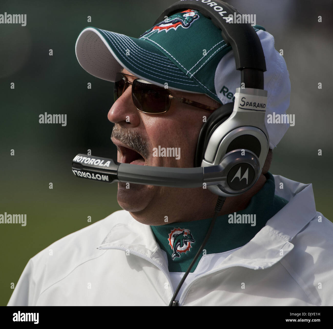 Raiders dolphins hi-res stock photography and images - Alamy