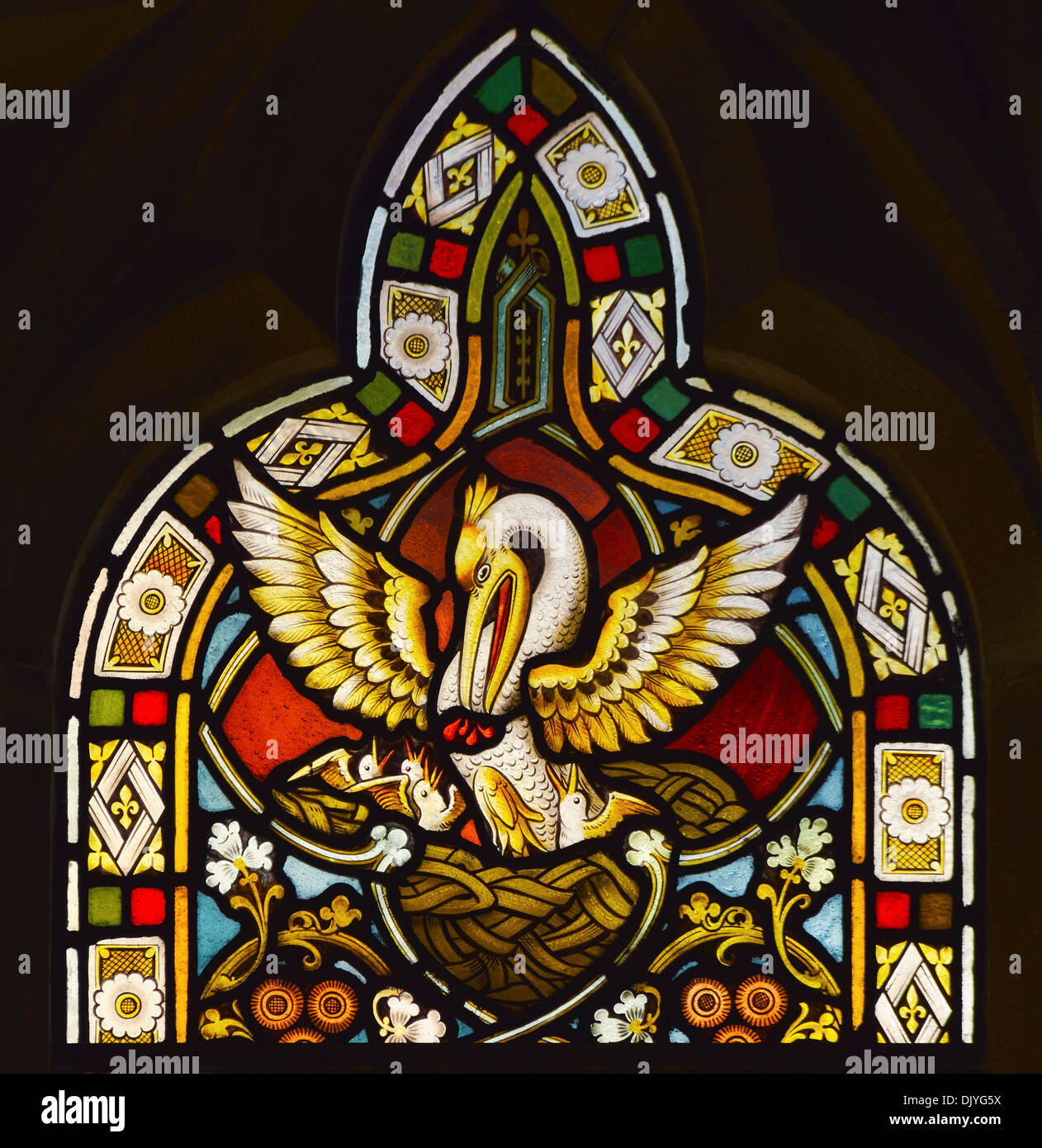 Pelican feeding young. Detail of South aisle East window. Church of ...