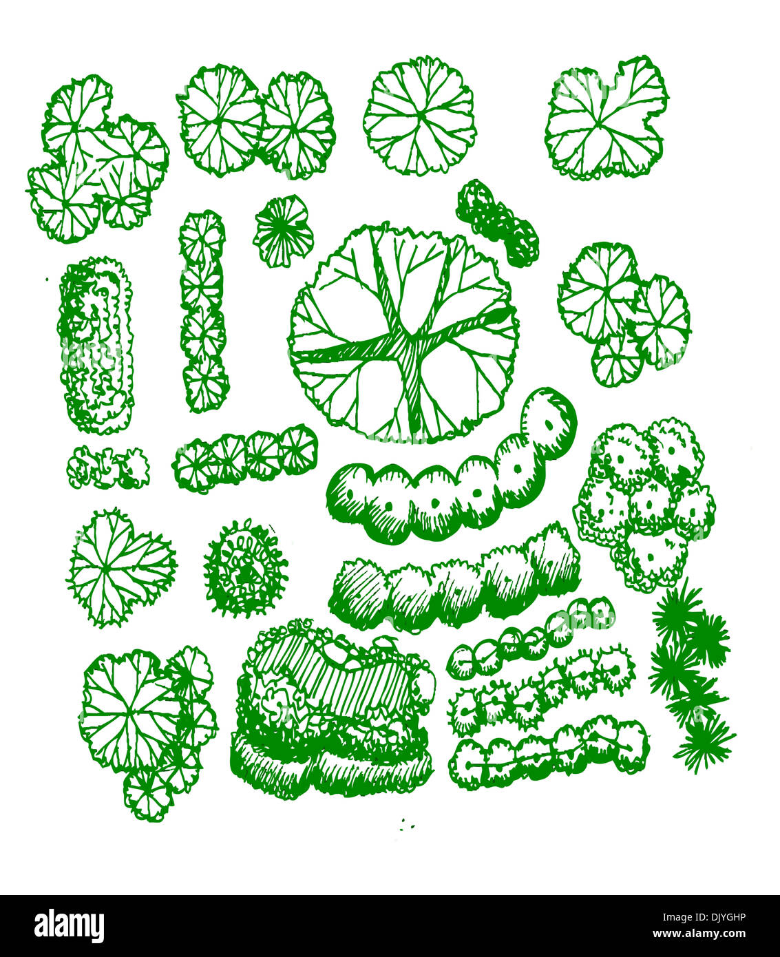 Trees top view for architecture landscape design projects Stock Photo ...