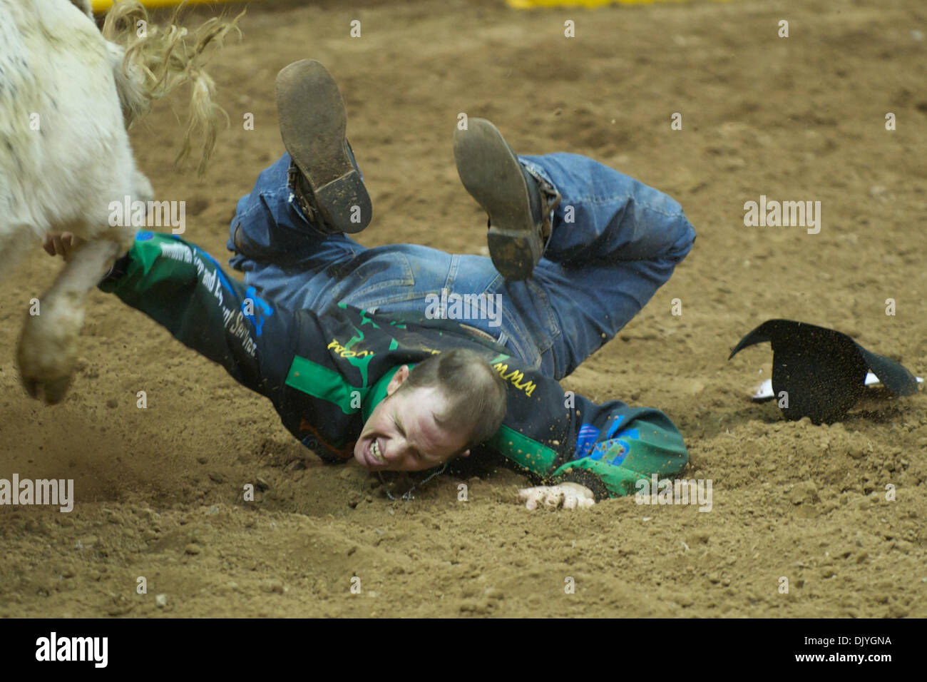 Dec. 2, 2010 - Las Vegas, Nevada, United States of America - Steer ...