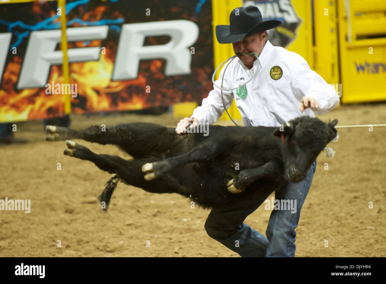 Calf Roper High Resolution Stock Photography and Images - Alamy