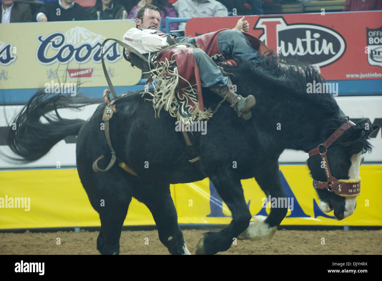 Dec. 3, 2010 - Las Vegas, Nevada, United States of America - Bareback ...