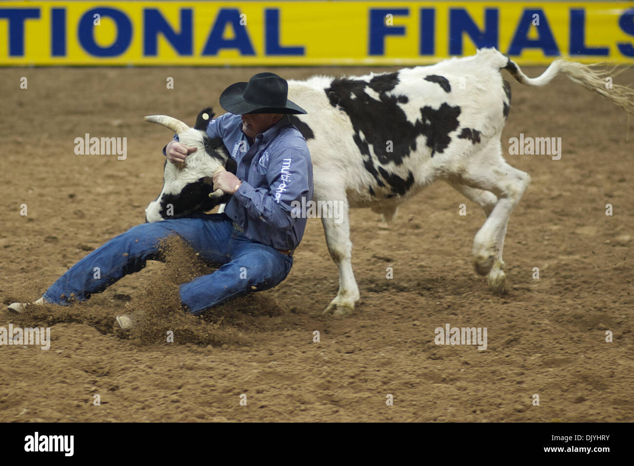 Dec. 3, 2010 - Las Vegas, Nevada, United States of America - Steer ...