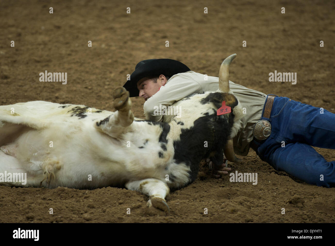 Dec. 3, 2010 - Las Vegas, Nevada, United States of America - Steer ...