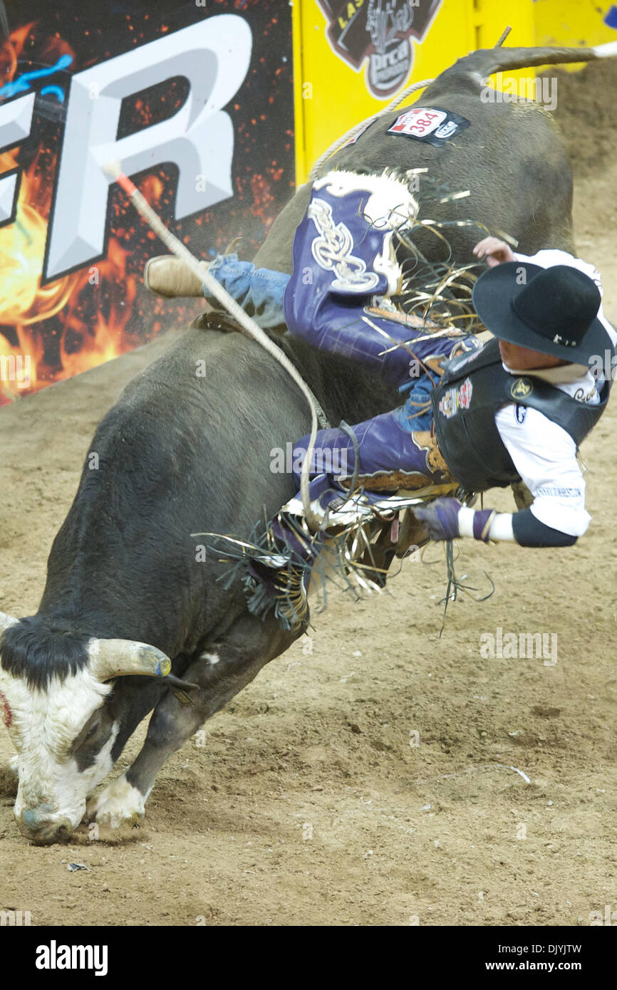 Rodeo bull party hi-res stock photography and images - Alamy