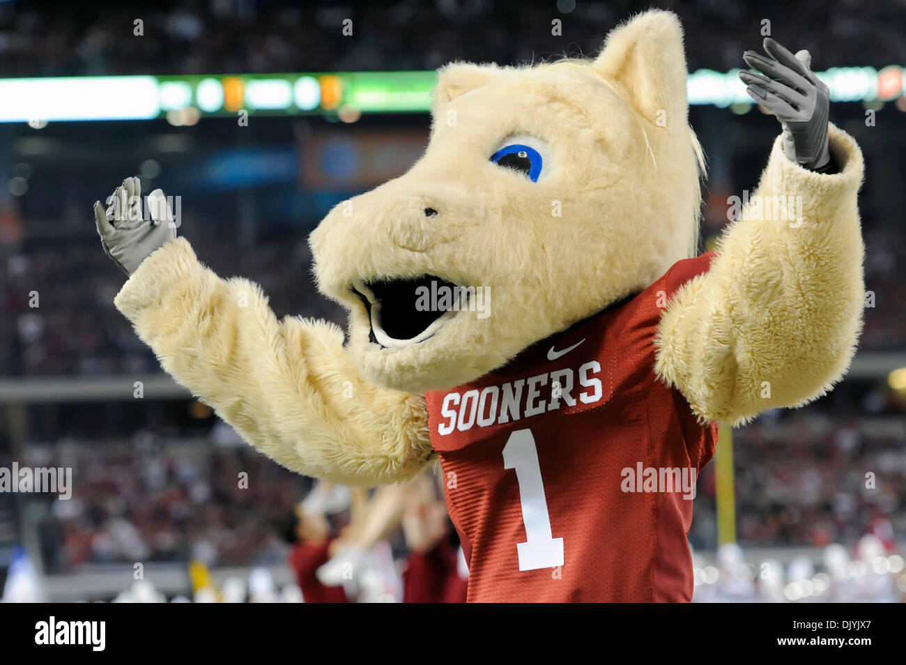 Oklahoma sooners mascot hi-res stock photography and images - Alamy