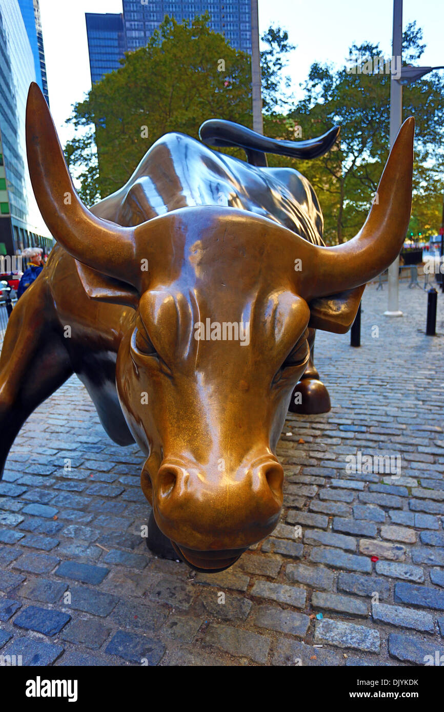 Charging bull hi-res stock photography and images - Alamy