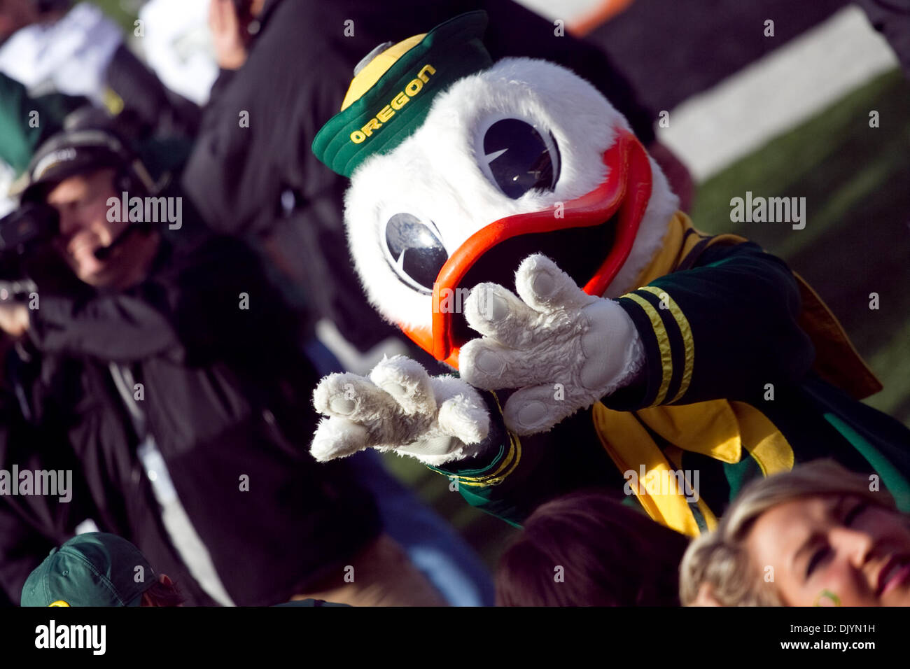 Oregon ducks mascot hi-res stock photography and images - Alamy
