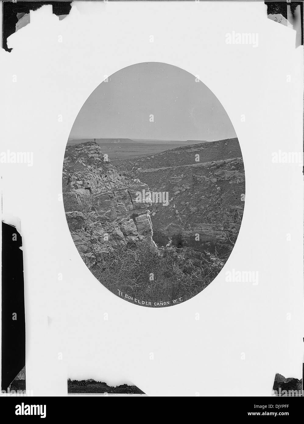 Box elder canyon hi-res stock photography and images - Alamy