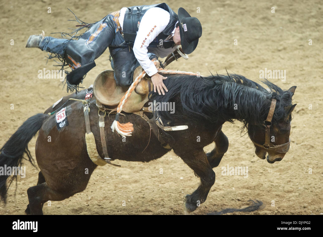 Rodeo cowboy gets bucked off hi-res stock photography and images - Alamy