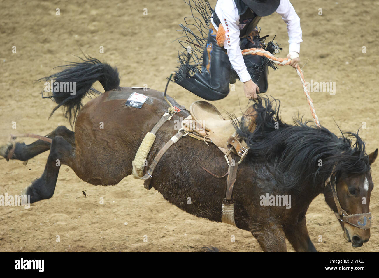 Matt snyder hi-res stock photography and images - Alamy