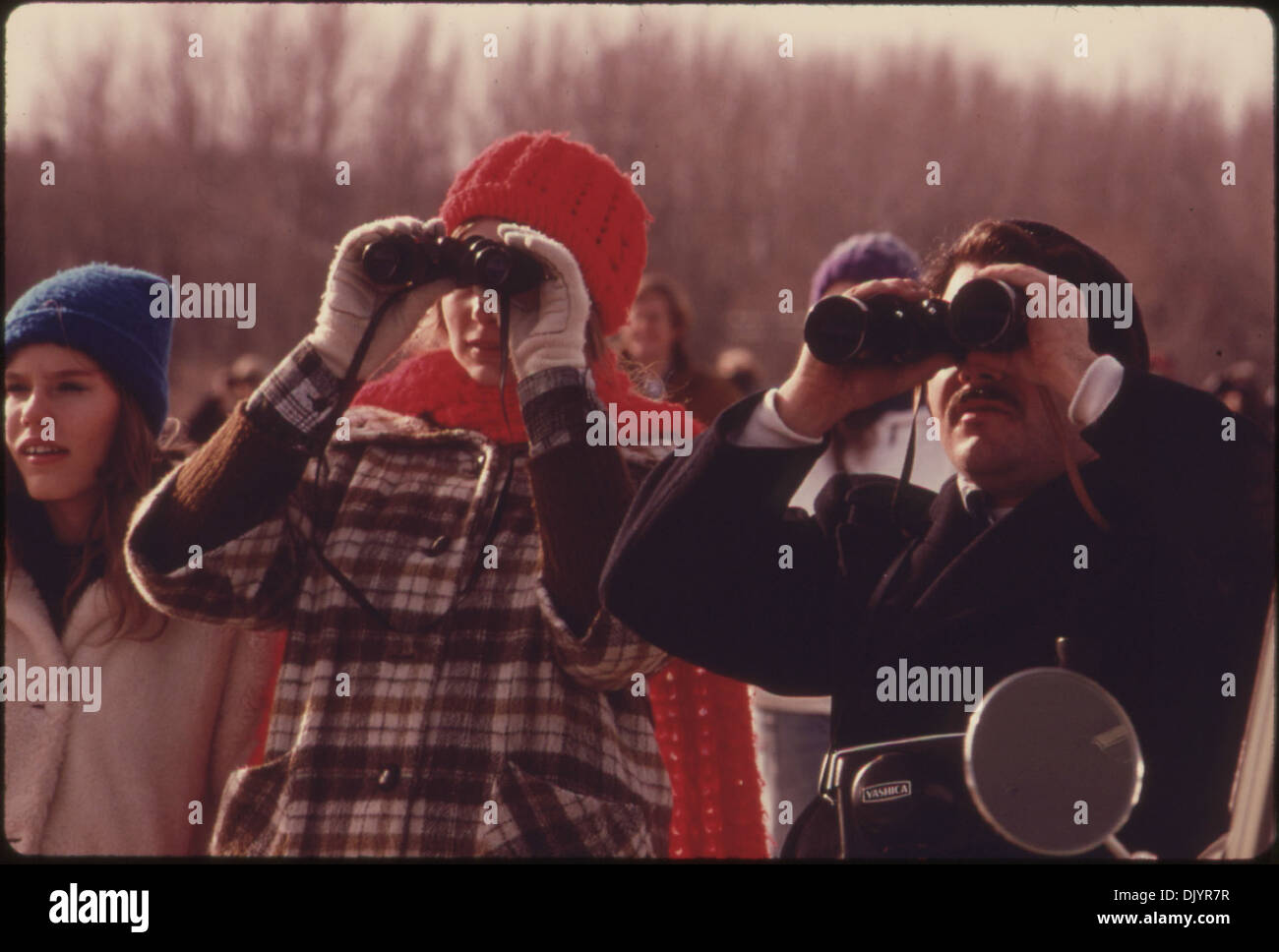 Identify birds hi-res stock photography and images - Alamy