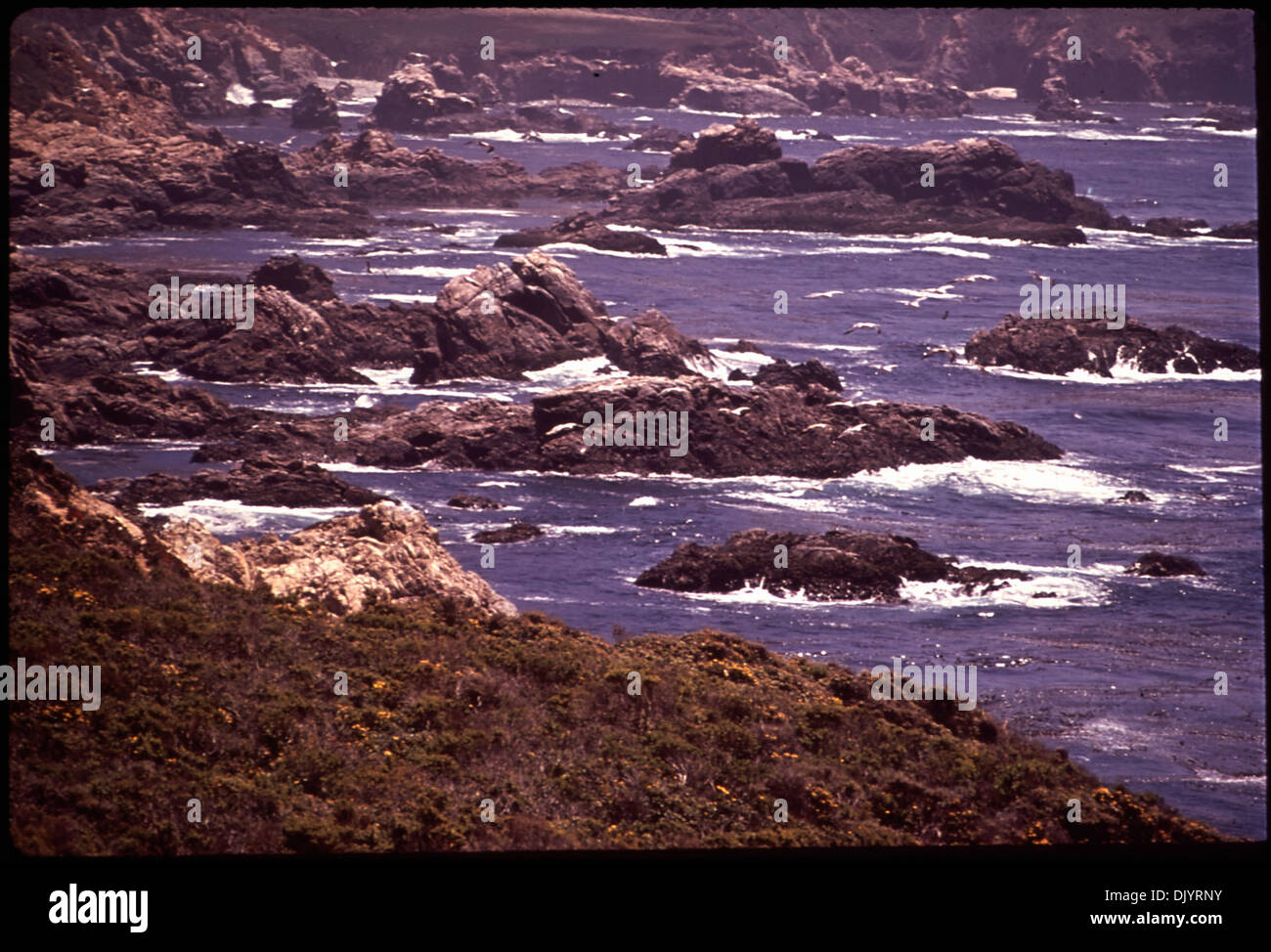 A scenic view of Monterey Bay, California, known for its marine life ...