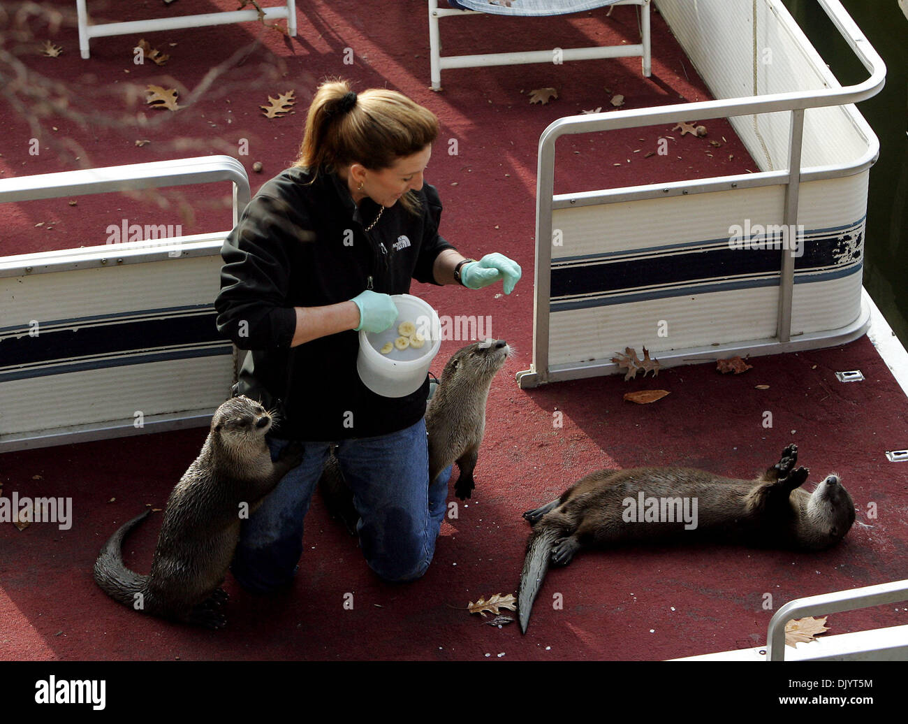 Dec. 10, 2010 - Eudora, MS, U.S. - December 10, 2010 - Summoning three ...