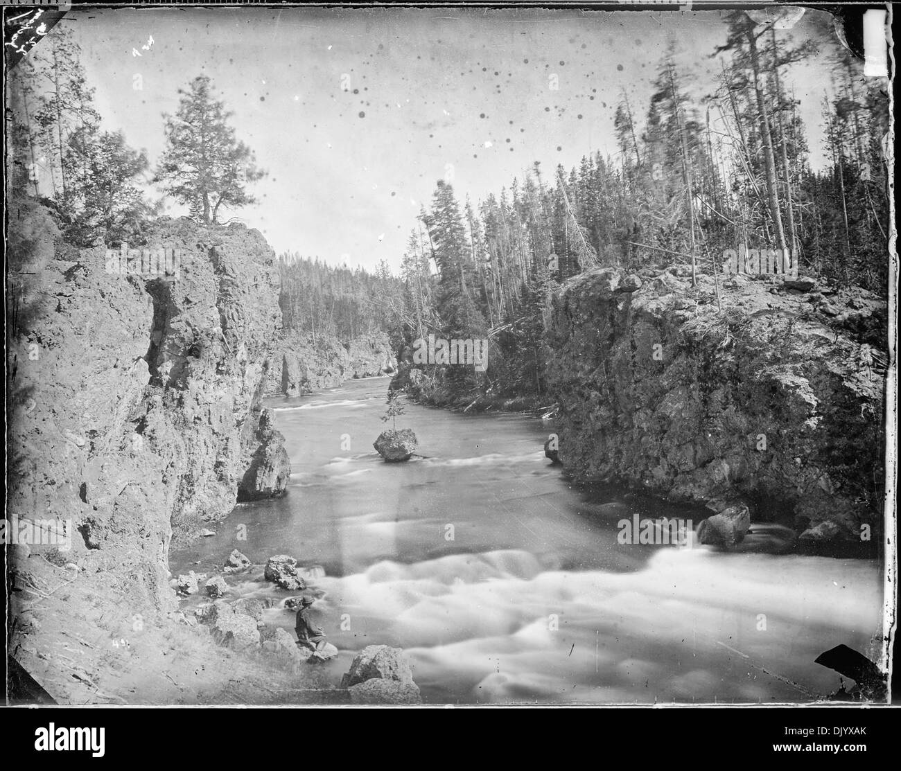 This image captures the Upper Madison Canyon in Yellowstone National ...
