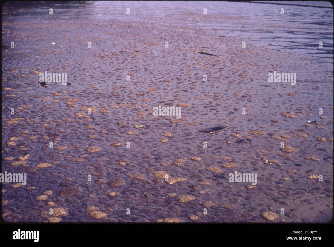 A closeup of polluted water in the Ohio River near Pittsburgh ...
