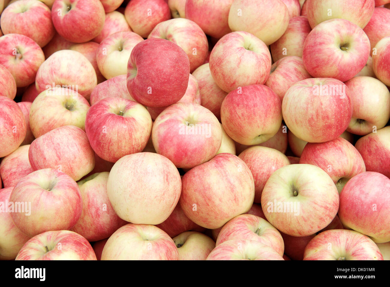 Fresh red apples in the box in China Stock Photo - Alamy