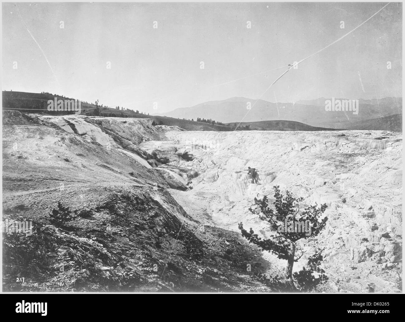 From terraces Black and White Stock Photos & Images - Alamy