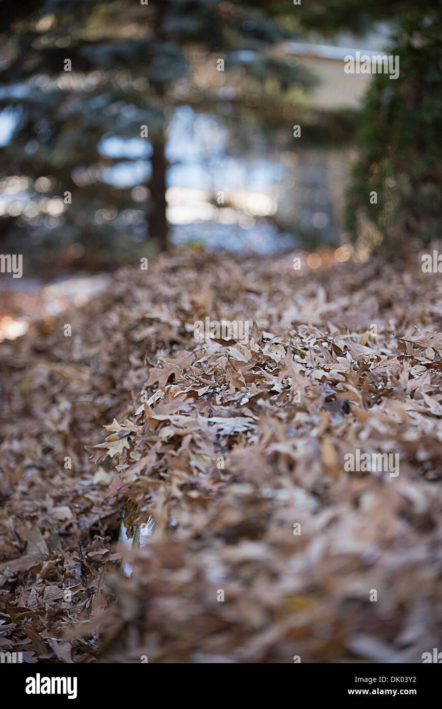 Iowa fall foliage hi-res stock photography and images - Alamy