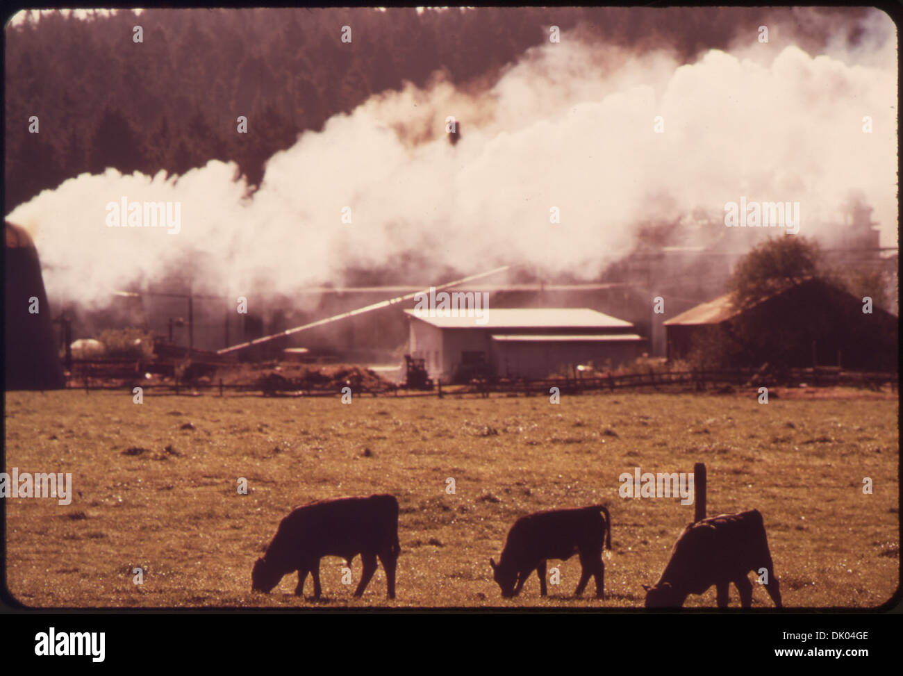 Chip burner hi-res stock photography and images - Alamy