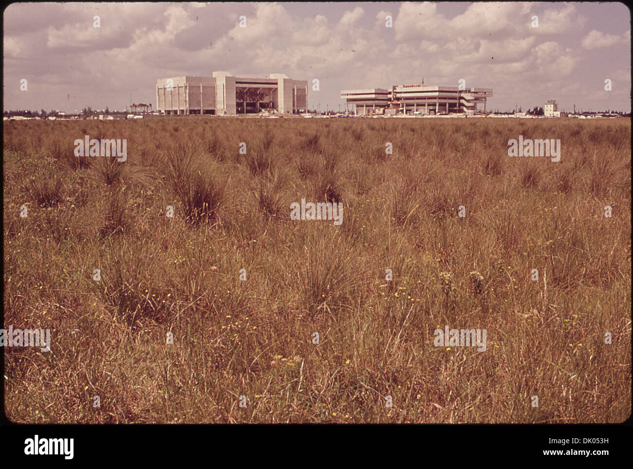 Fiu florida international university hi-res stock photography and ...