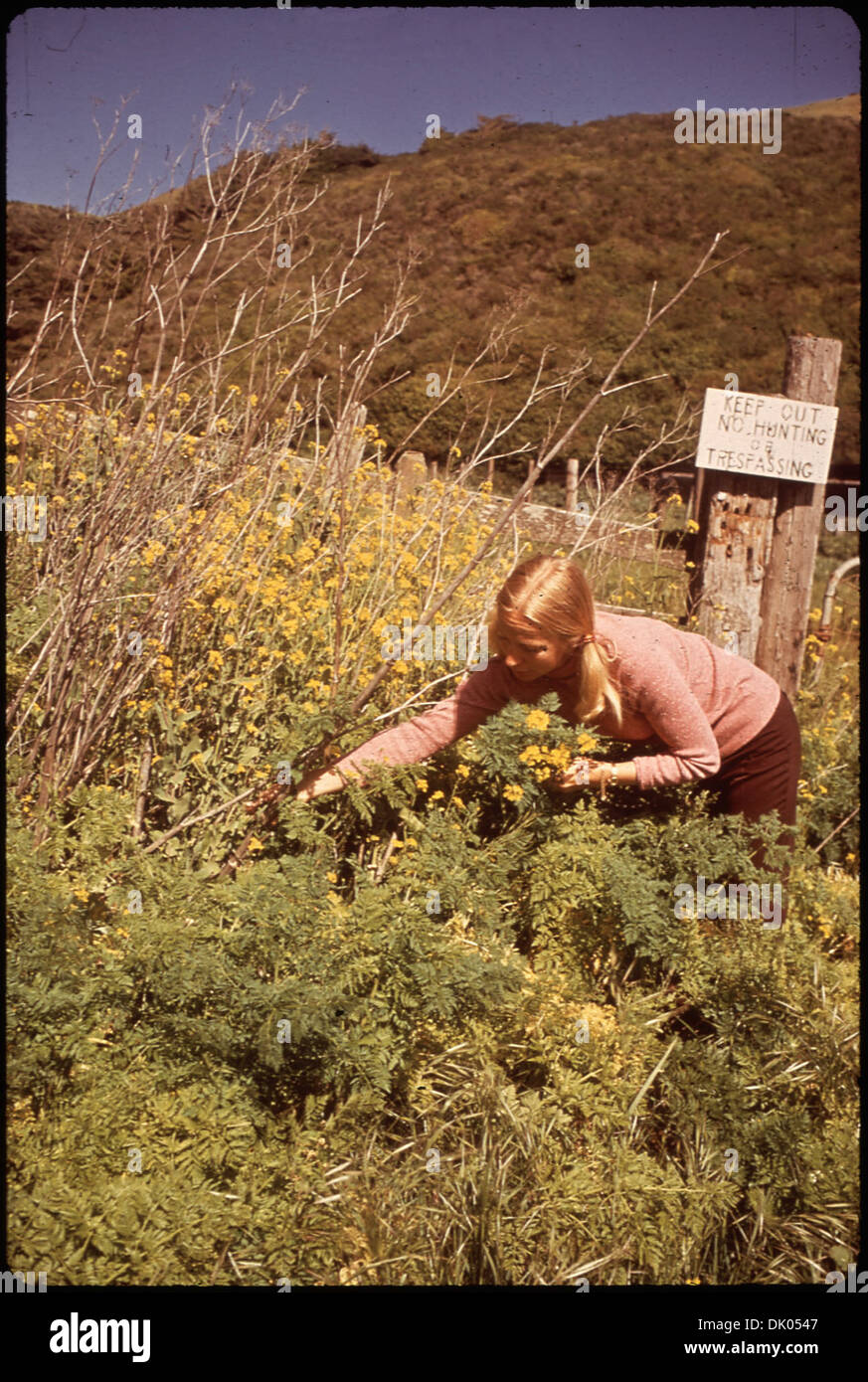 Swanton history hi-res stock photography and images - Alamy