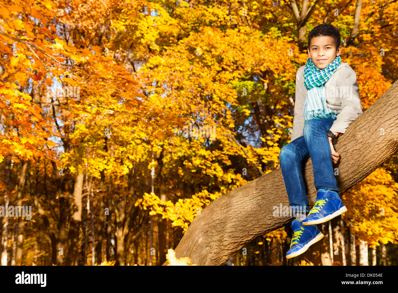 African boy climbing tree hi-res stock photography and images - Alamy
