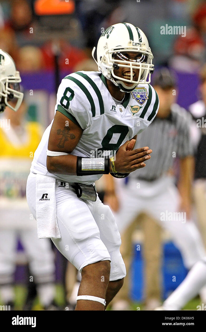 Bobcats play hi-res stock photography and images - Alamy