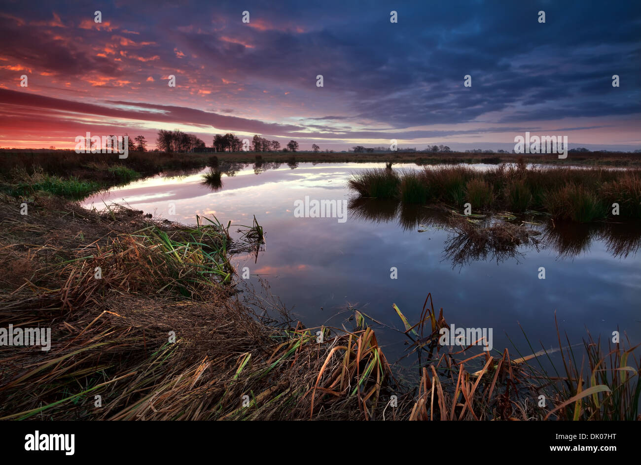 dramatic sunrise over swamp, Drenthe, Netherlands Stock Photo - Alamy