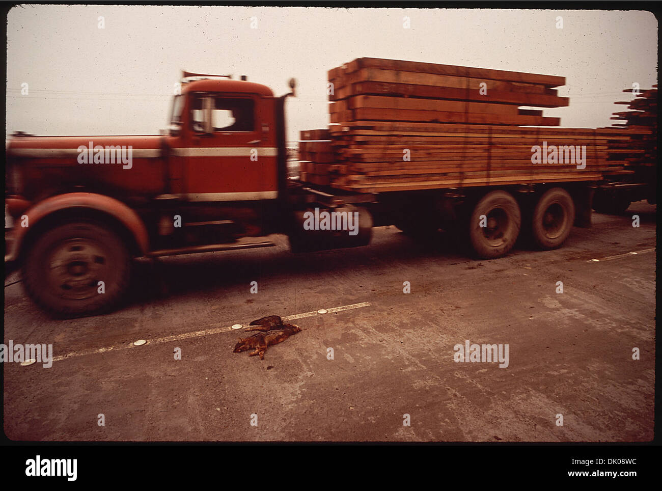 Wood transportation system hi-res stock photography and images - Alamy