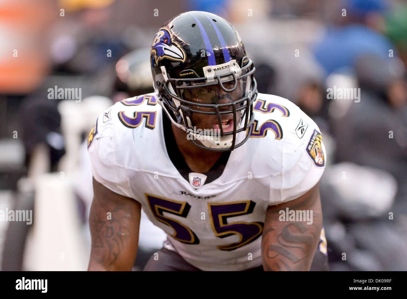 Terrell Suggs Face Bumps
