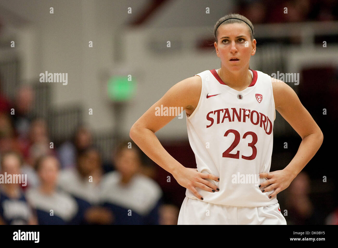 Dec. 28, 2010 - Stanford, California, United States of America ...