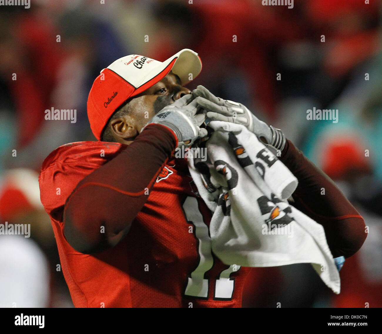 North carolina state wolfpack fans hi-res stock photography and images ...