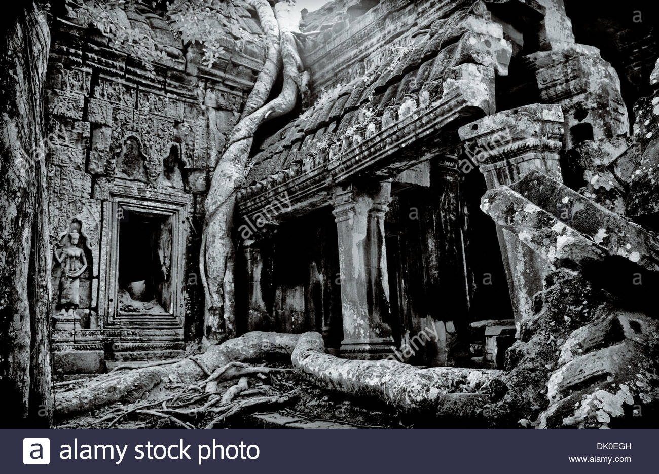 Encasing Structure High Resolution Stock Photography and Images - Alamy